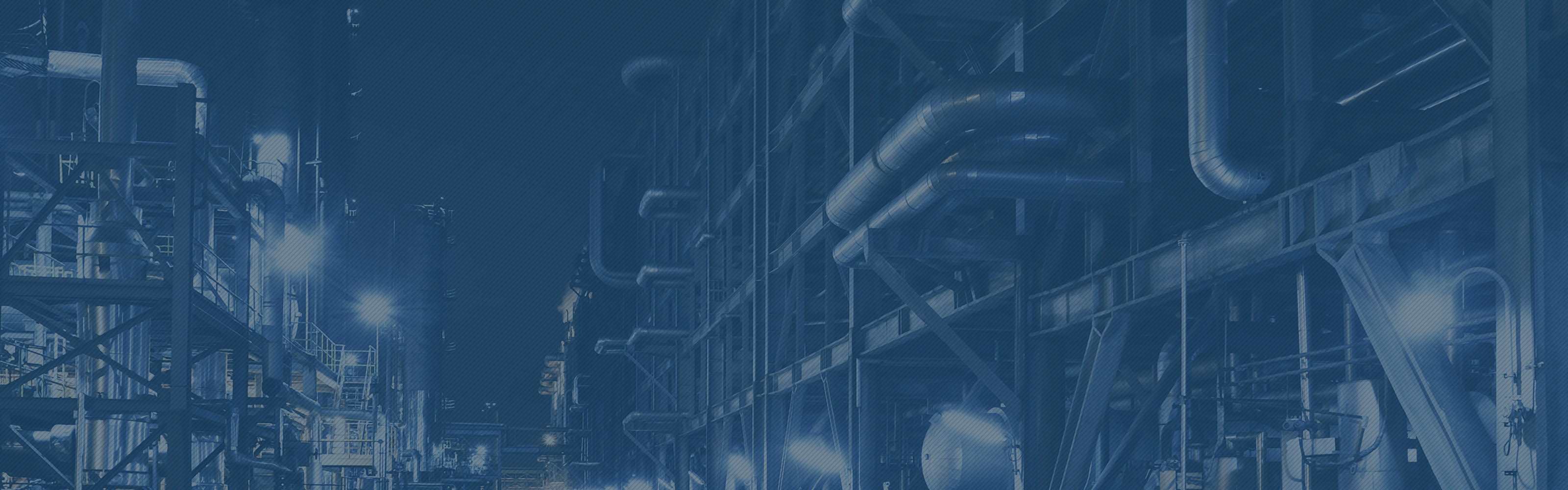 Boerger Rotary Lobe Pumps